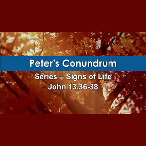 Media - The Village Church Shell Point