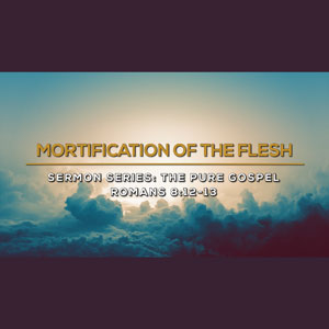 Sunday Morning Services - The Village Church at Shell Point